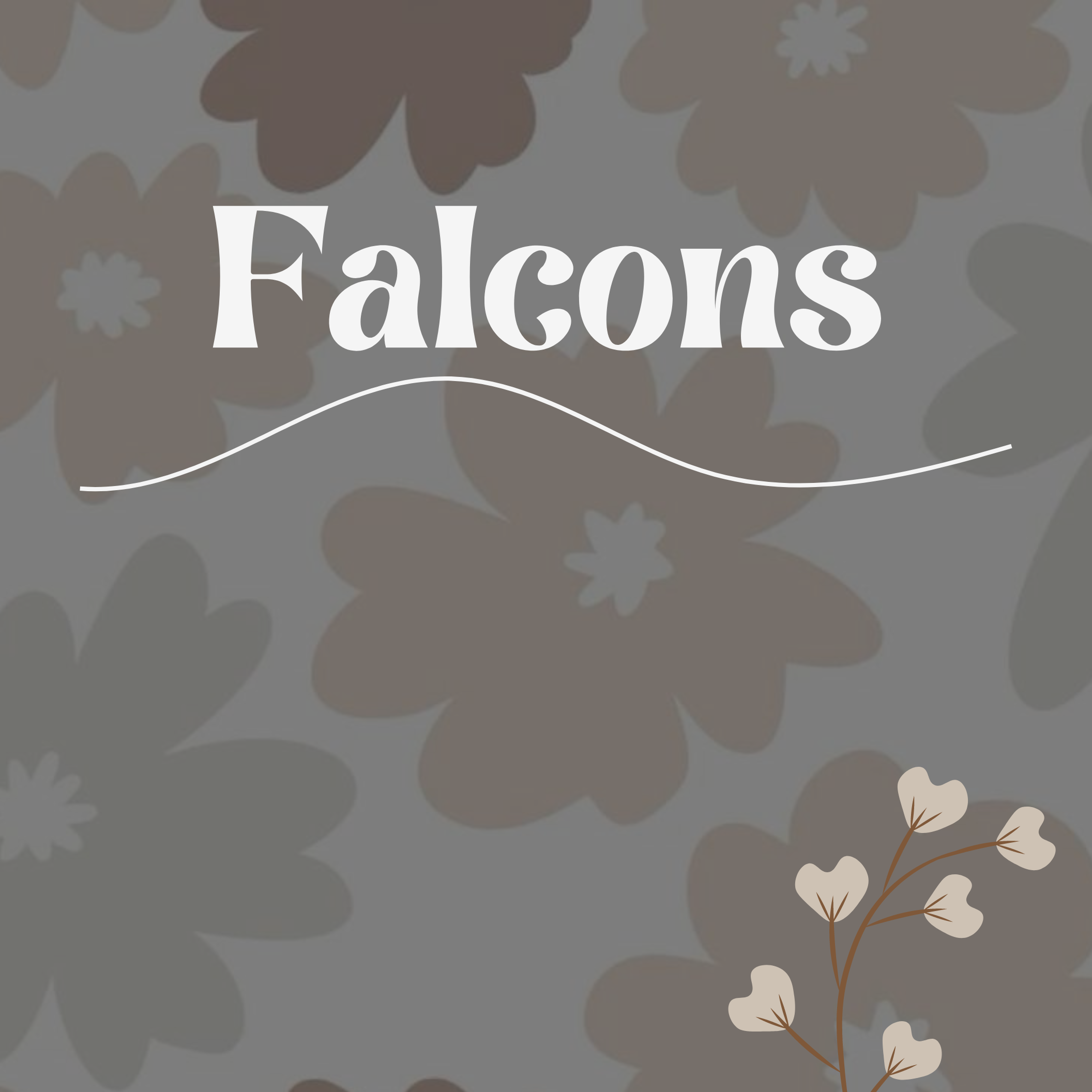 North Forney Falcons – Printcess Designs